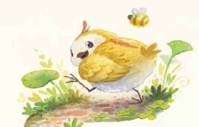 Meet Queenie Quail! – Jane Whittingham