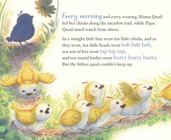 Queenie Quail and the Road to Publication – Jane Whittingham