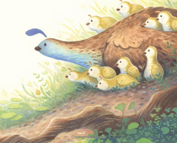 Queenie Quail and the Road to Publication – Jane Whittingham